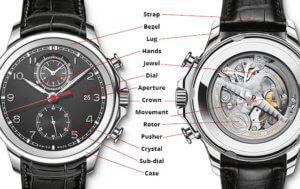 Diagram of a Watch - Timepiece Anatomy | Wixon Jewelers